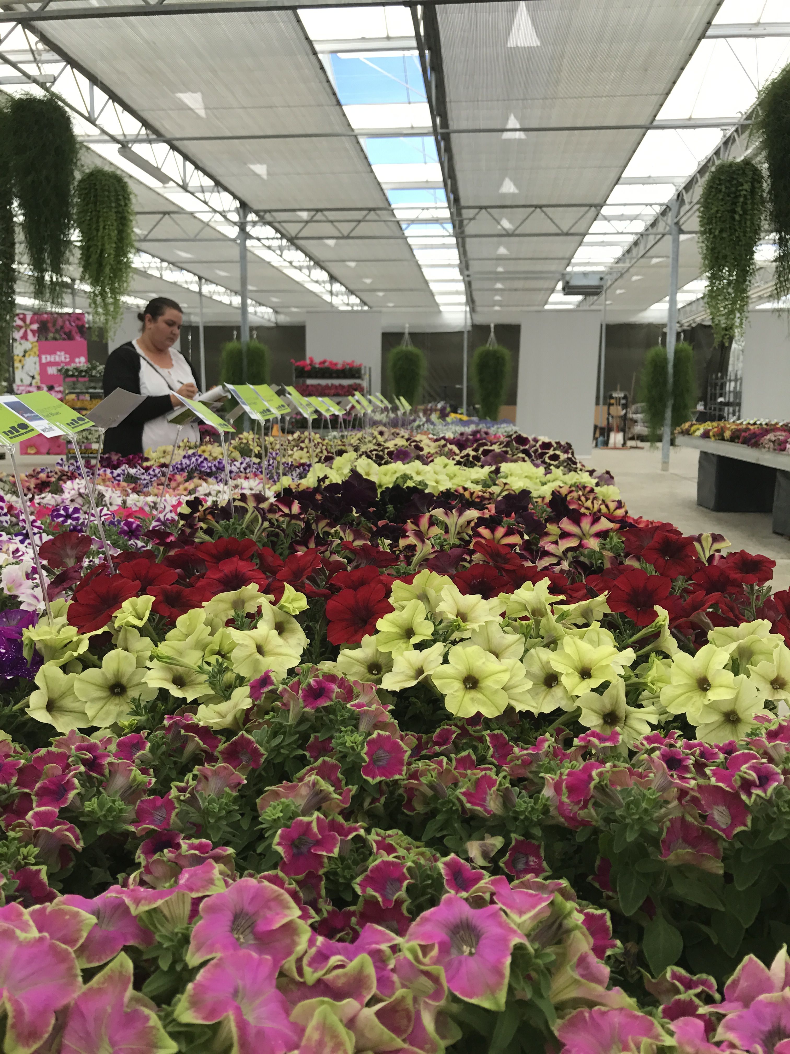 June flower hunting journey: the best bits - Michael Perry - Mr Plant Geek