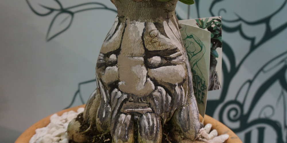 Plant Trends 2020 | What To Look Forward To This Year | Mr Plant Geek