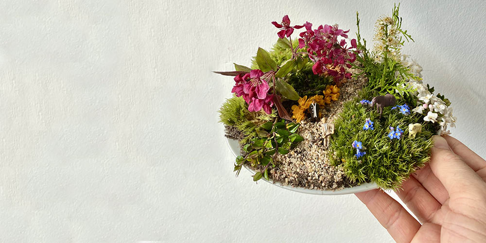 How To Create A Plot-on-a-plate | Mr Plant Geek