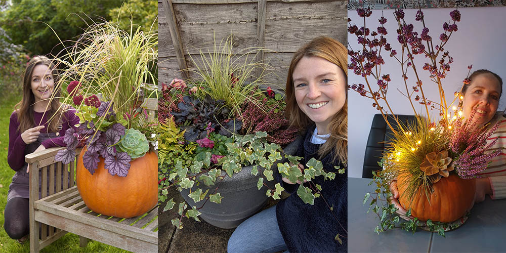 Autumn Container Competition 2020 Winners | Mr Plant Geek