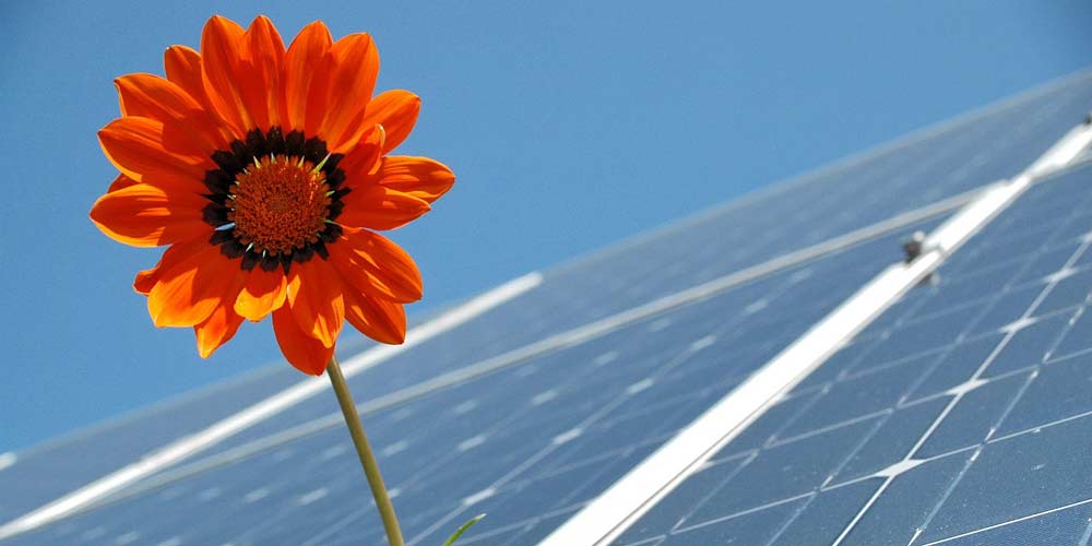 7 Amazing Things Powered By The Sun | Mr Plant Geek