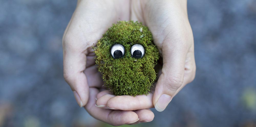 Moss On Your Lawn? Here's The Best Time To Deal With It, And How